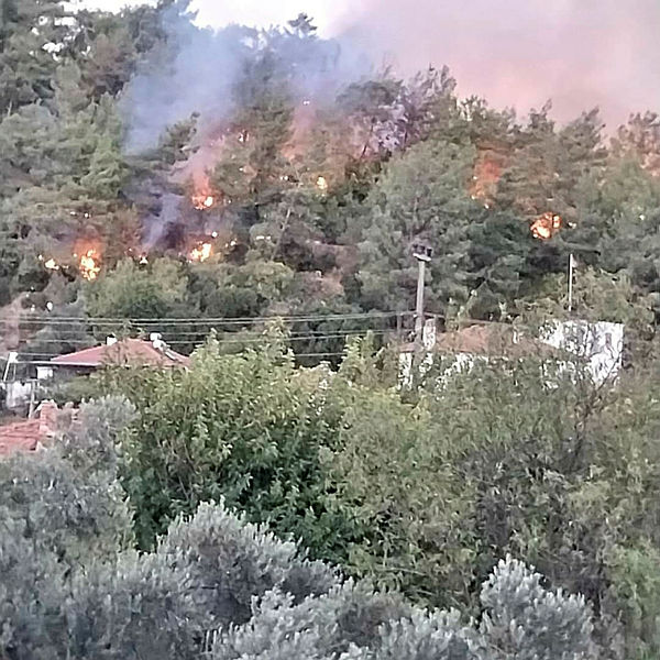 Muğla Ula’da yeni orman yangını