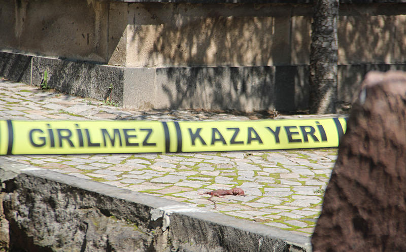 Kayseri'de vahşet! Mezarlıkta cenin bulundu!