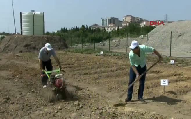 İyi halli mahkumlar yoksul ve hastalar için tarım işçisi oldu